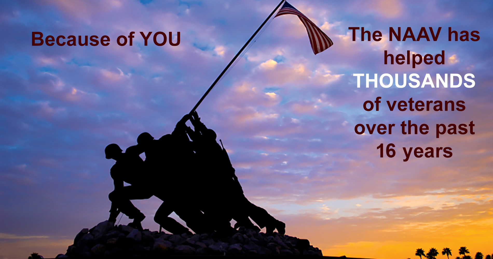 National Association of American Veterans (NAAV)