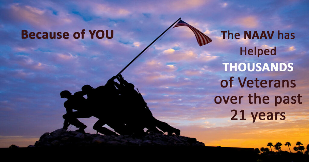 National Association of American Veterans (NAAV)
